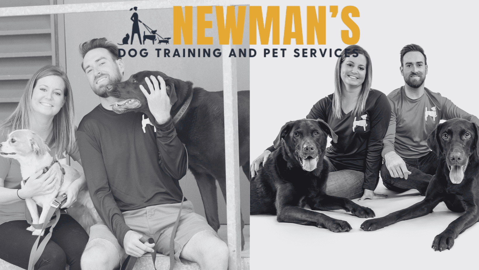 Kansas City Dog Trainer | Canine Solutions