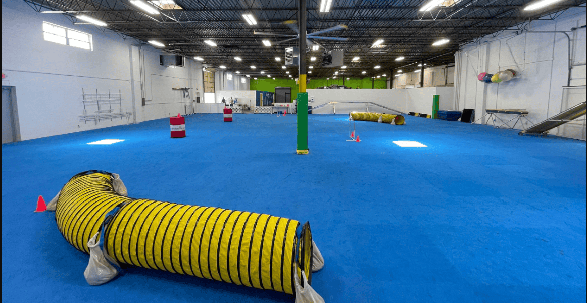 Kansas City Dog Trainer | Canine Solutions